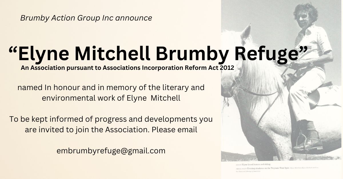 Brumby Action Group Incorporated – Brumbies